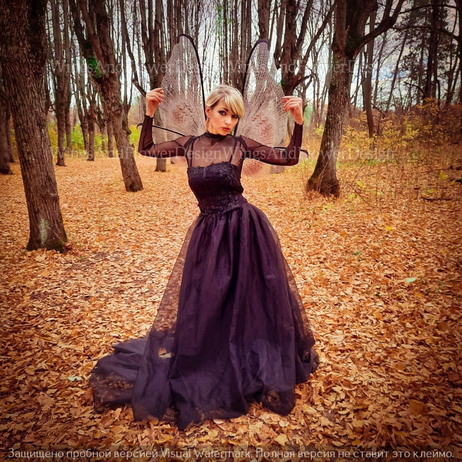 Transparent Wings Butterfly Wings Elf Wings Wings Photo - Etsy