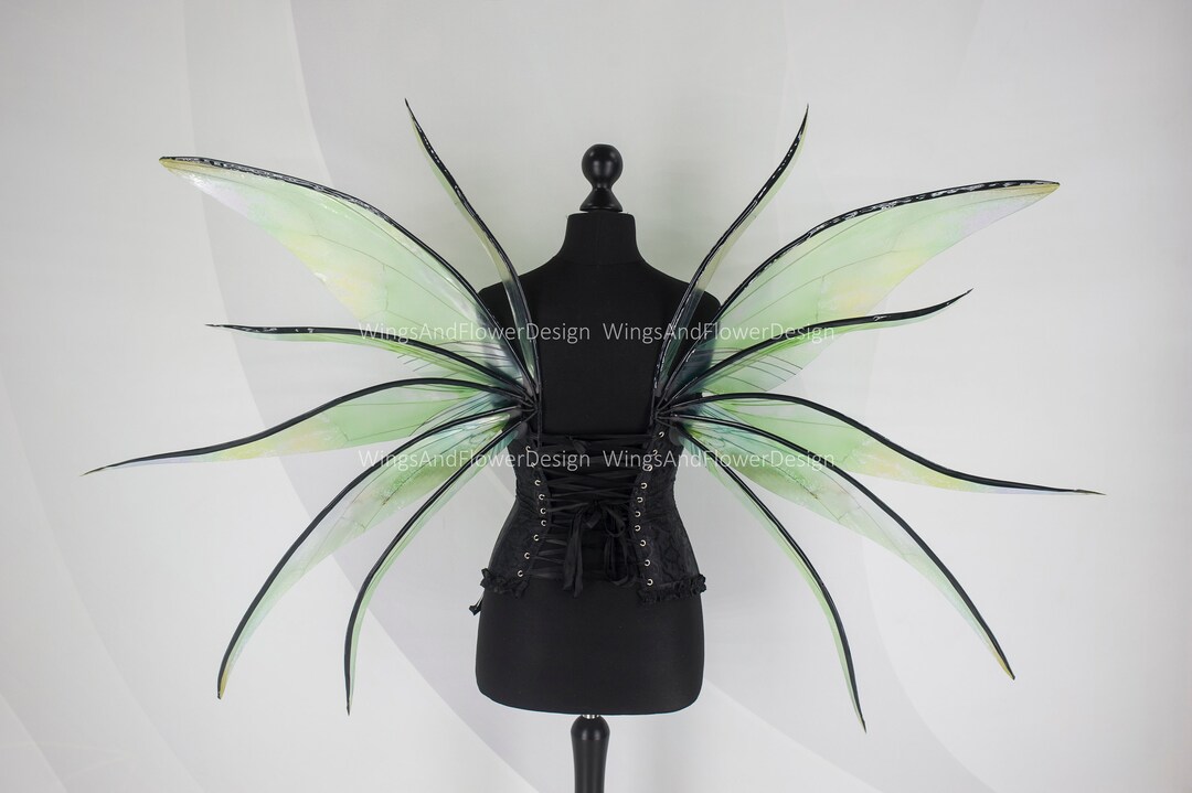 Transparent Green Moth Wings, Butterfly Wings, Elf Wings, Butterfly ...