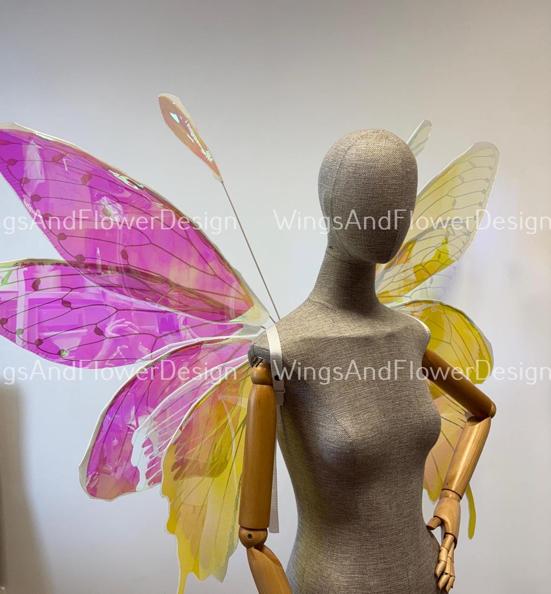 Iridescent Rainbow Fairy Wings: Halloween Costume, Cosplay Wings - Etsy