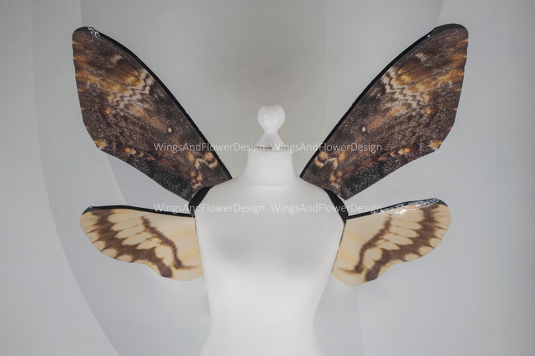 Deaths Head Moth Wings Hawkmoth Brown Wings Costume Wings Death's-head ...