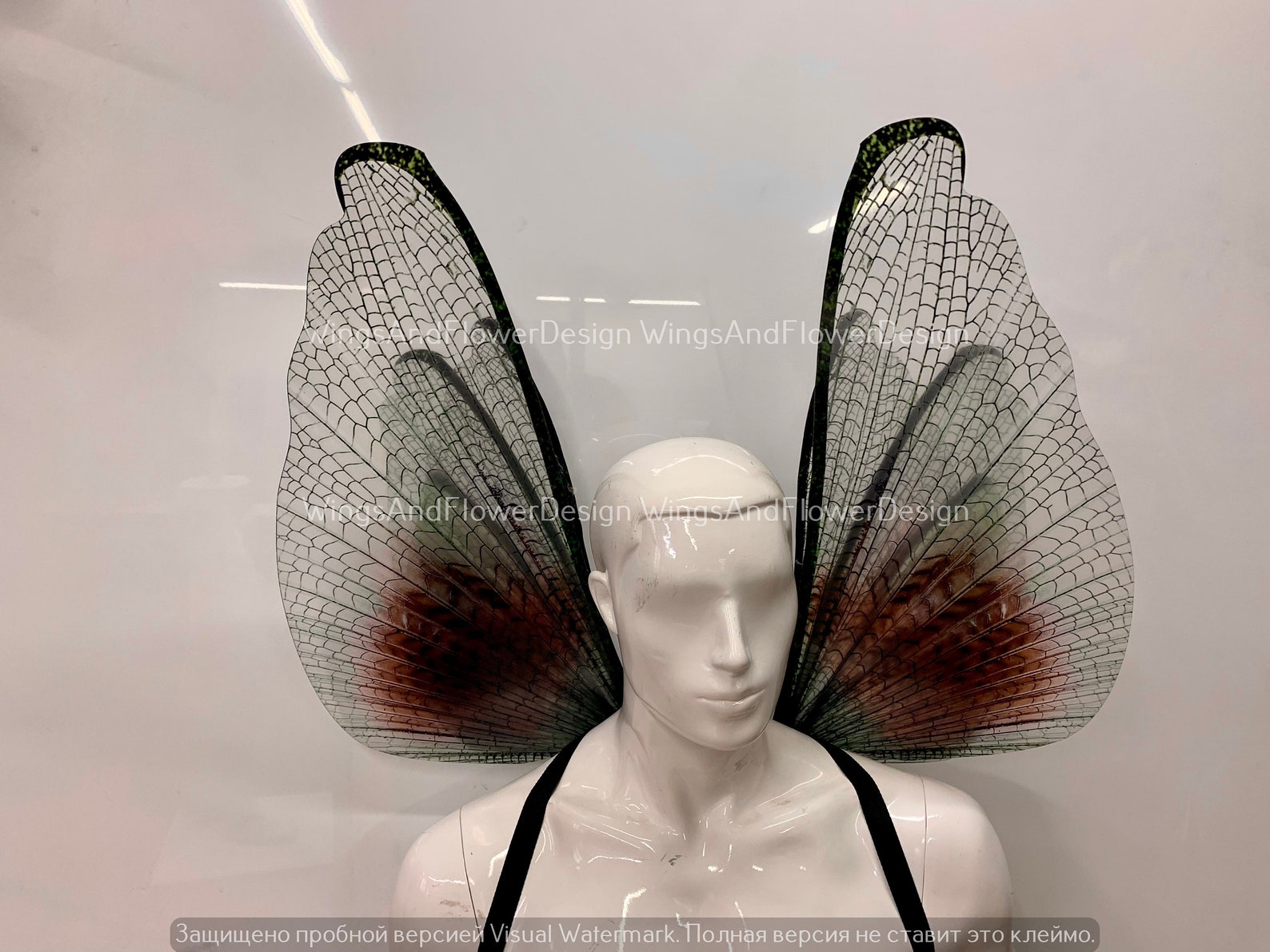 Transparent Wings Moth Wings Butterfly Wings Elf Wings - Etsy