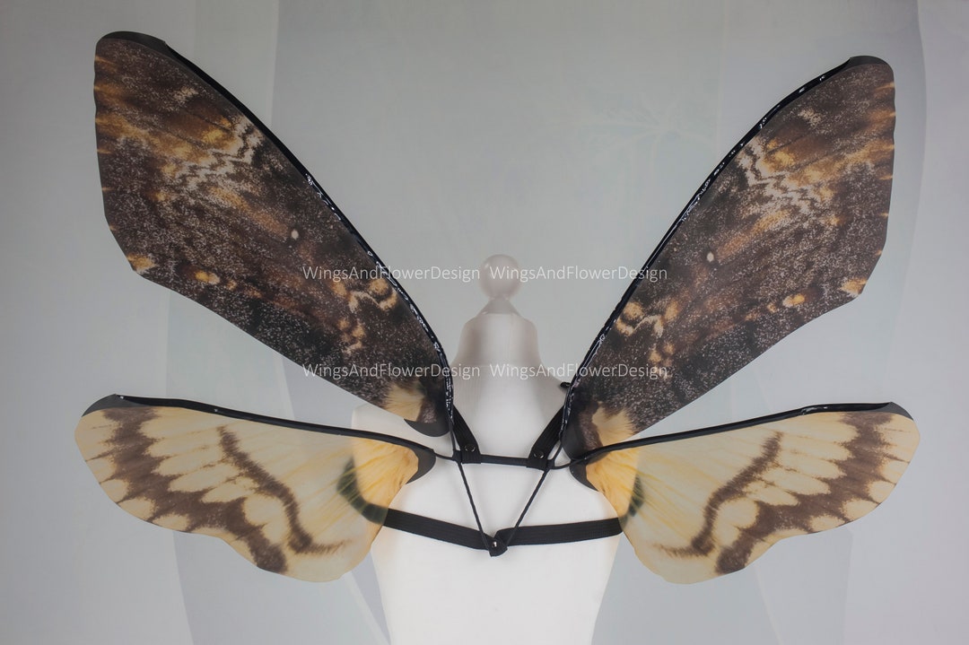 Deaths Head Moth Wings Hawkmoth Brown Wings Costume Wings Death's-head ...