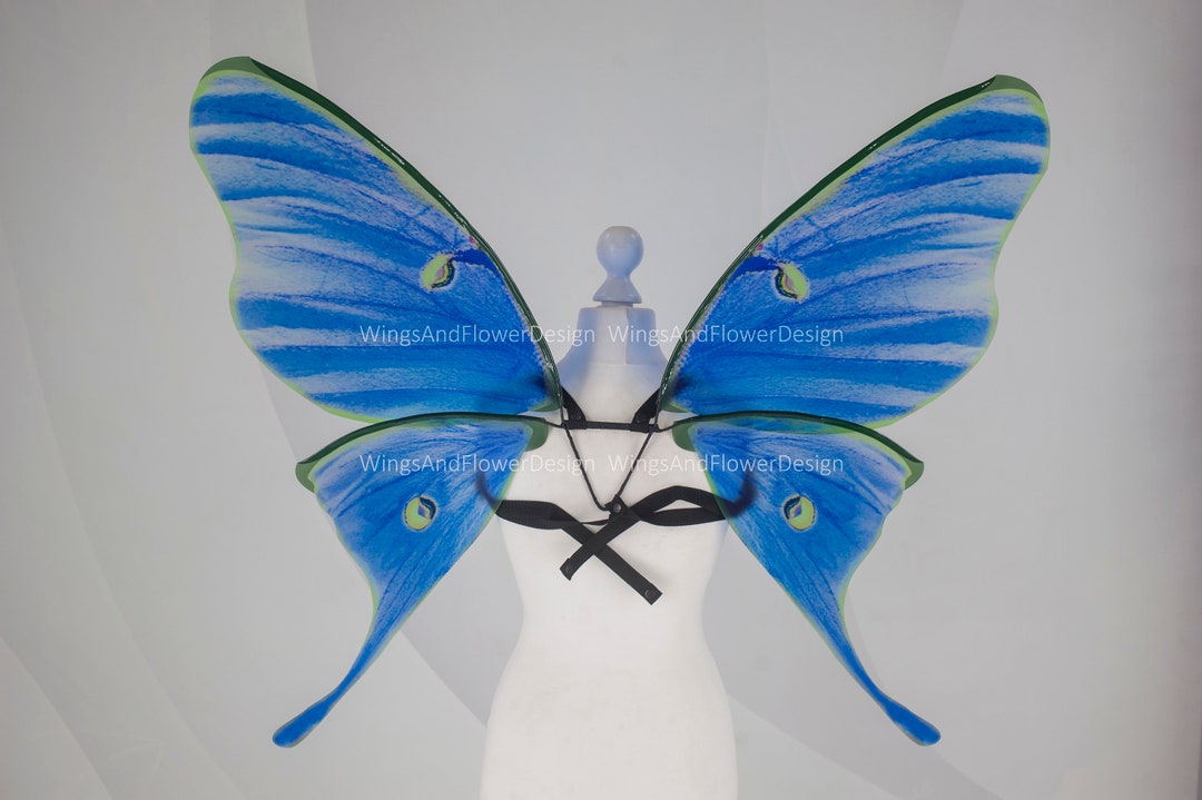 Luna Moth Green Blue Eyespots Moon Butterfly Wings, Fairy Wings ...
