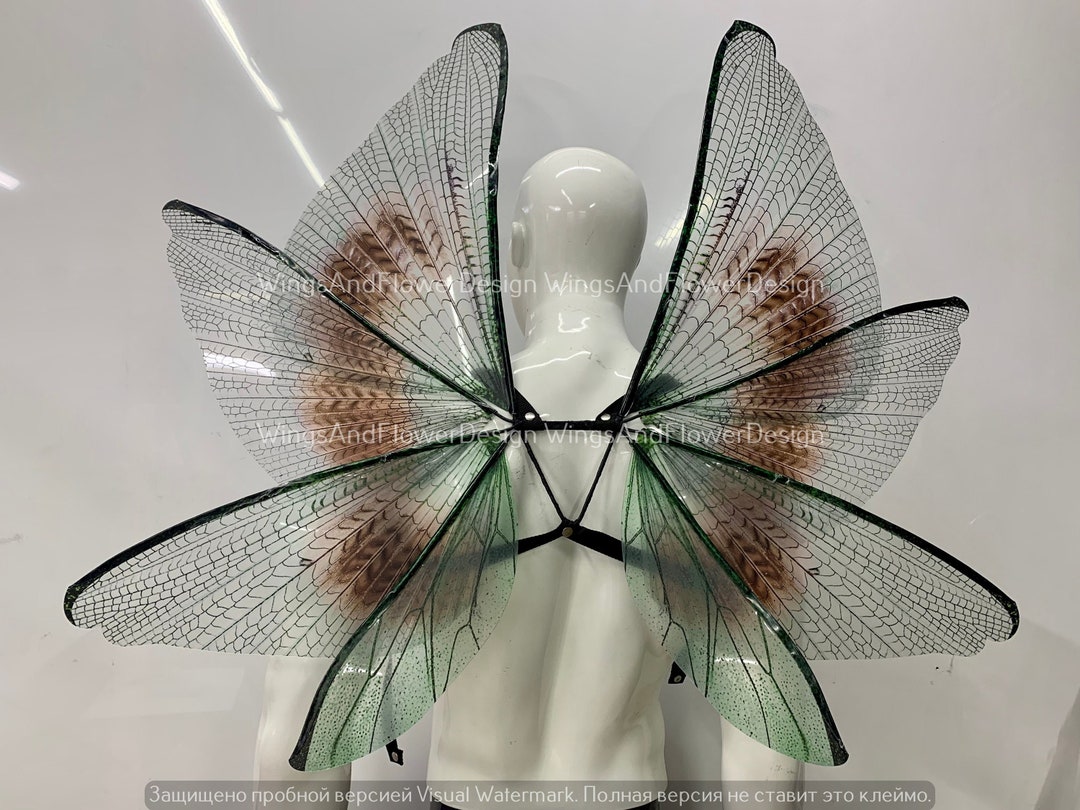 Transparent Wings, Moth Wings, Butterfly Wings, Elf Wings, Butterfly ...