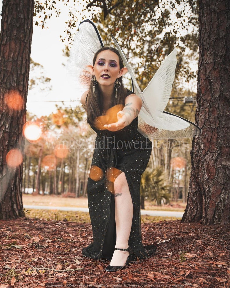 Transparent Wings Moth Wings Butterfly Wings Elf Wings - Etsy