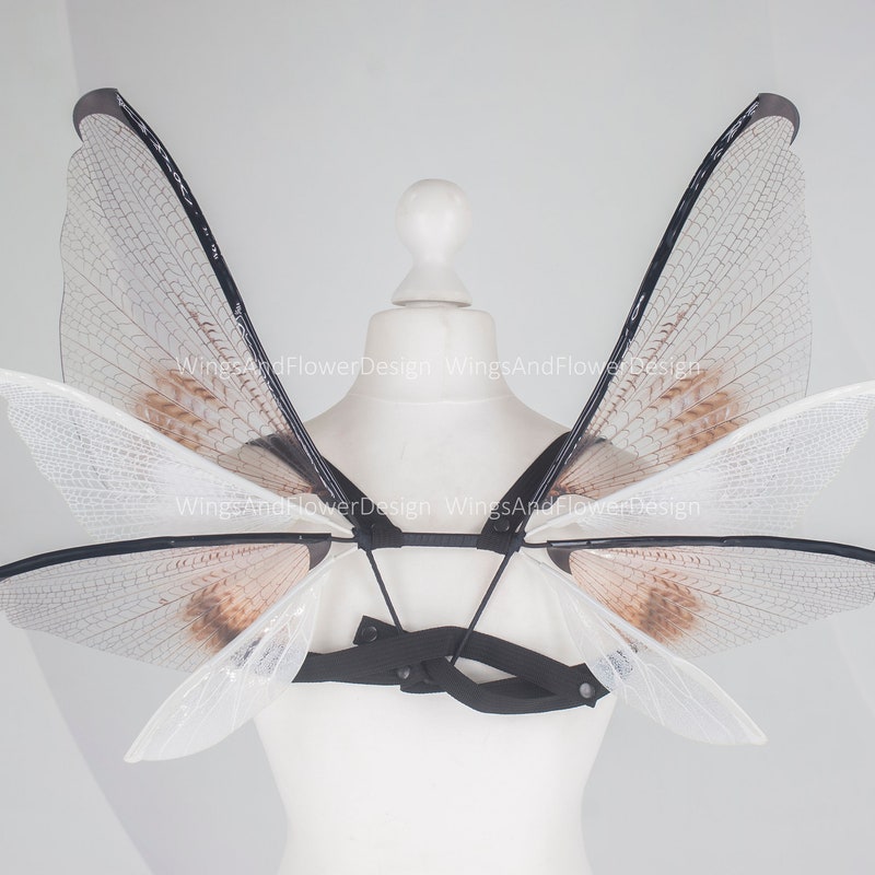 Moth Wing Cape - Etsy