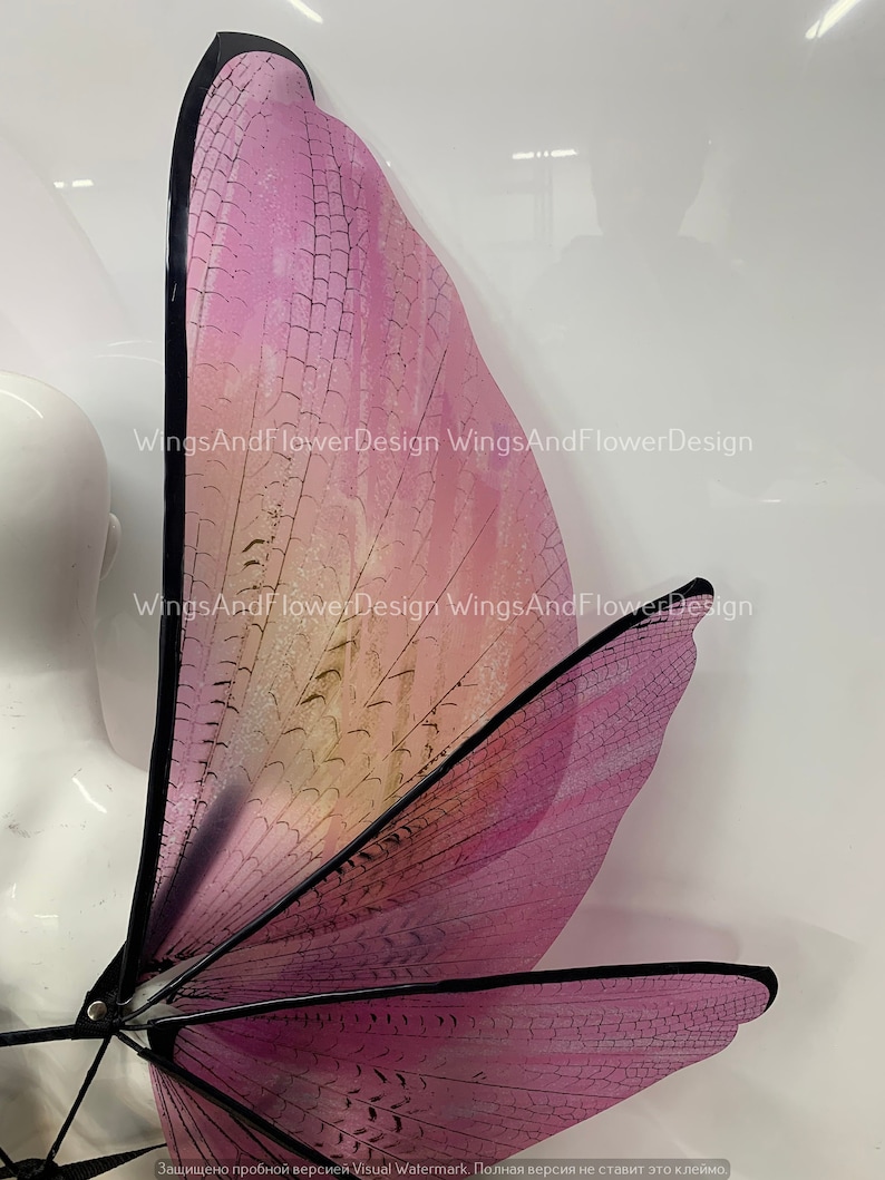 Transparent Pink Wings Pink Moth Wings Wings Pink Elf Wings - Etsy