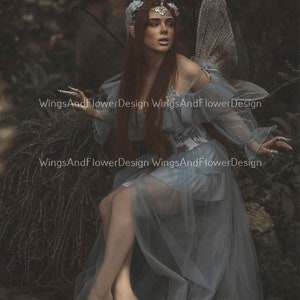 Transparent Wings, Moth Wings, Butterfly Wings, Elf Wings, Butterfly ...