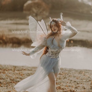 Transparent Wings, Moth Wings, Butterfly Wings, Elf Wings, Butterfly ...