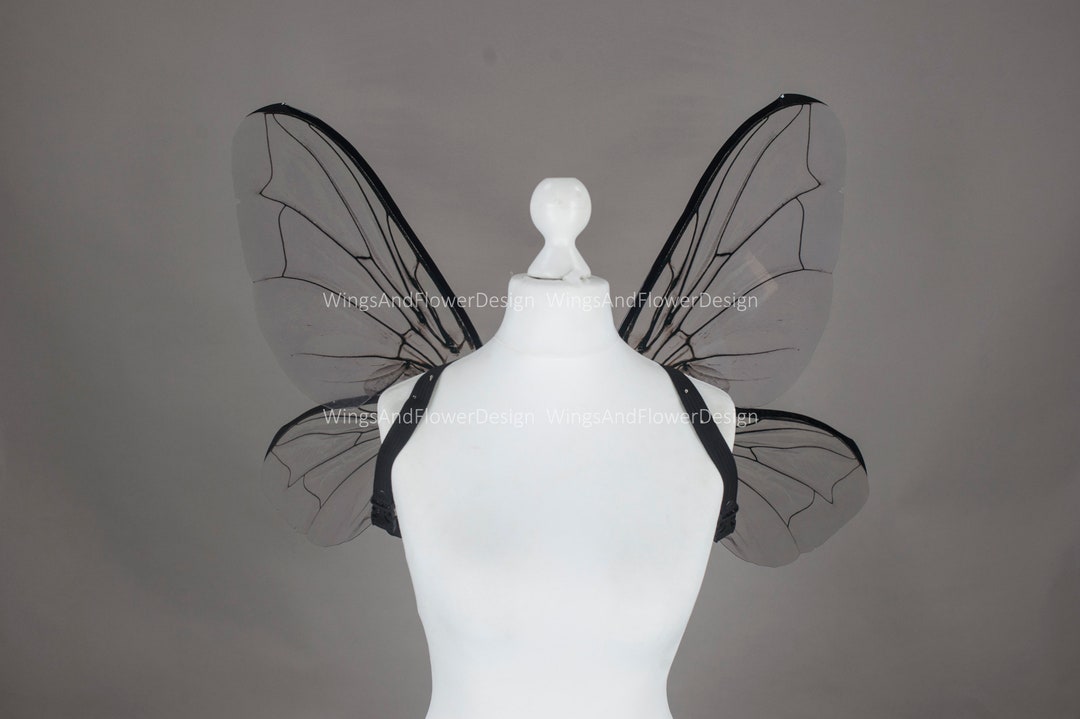 Fly Black Beetle Wings, Elf Wings, Fairy Wings, Wings Photo Prop ...