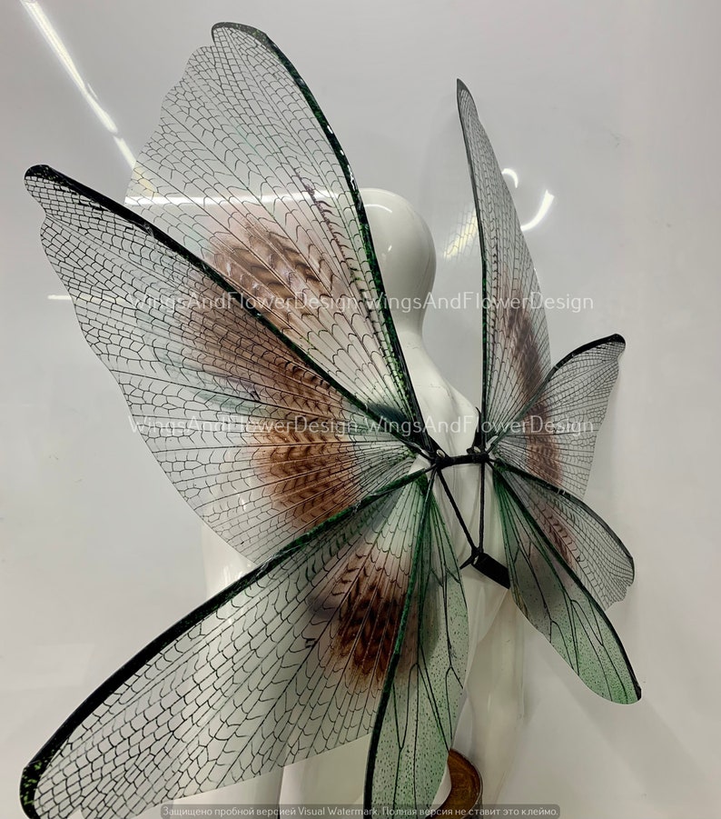 Transparent Wings Moth Wings Butterfly Wings Elf Wings - Etsy