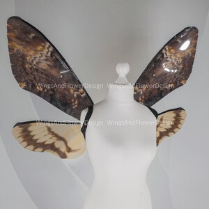 Deaths Head Moth Wings Hawkmoth Brown Wings Costume Wings Death's-head ...