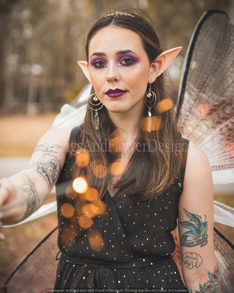 Transparent Wings Moth Wings Butterfly Wings Elf Wings - Etsy