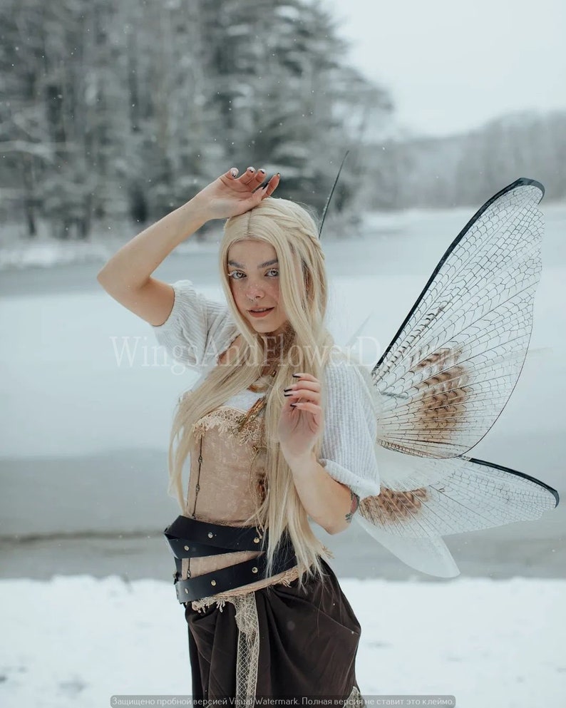 Transparent Wings Moth Wings Butterfly Wings Elf Wings - Etsy