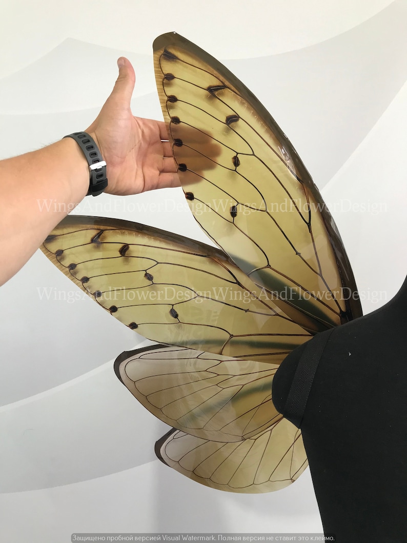 Cicada Wings Cicada Wings Elf Wings Fairy Wings Wings - Etsy