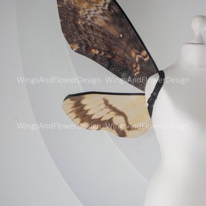 Deaths Head Moth Wings Hawkmoth Brown Wings Costume Wings Death's-head ...