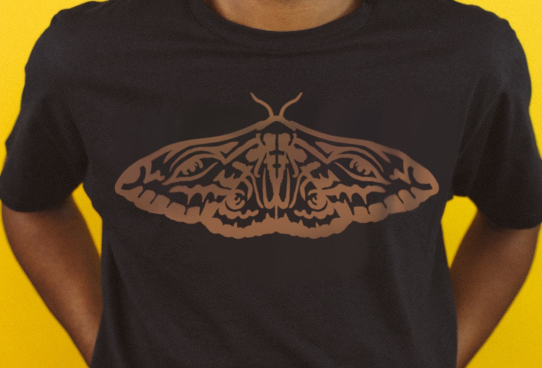 Moth Eyes Easy to Weed Svg Simple Bug Insect Cottagecore DIGITAL FILE ...