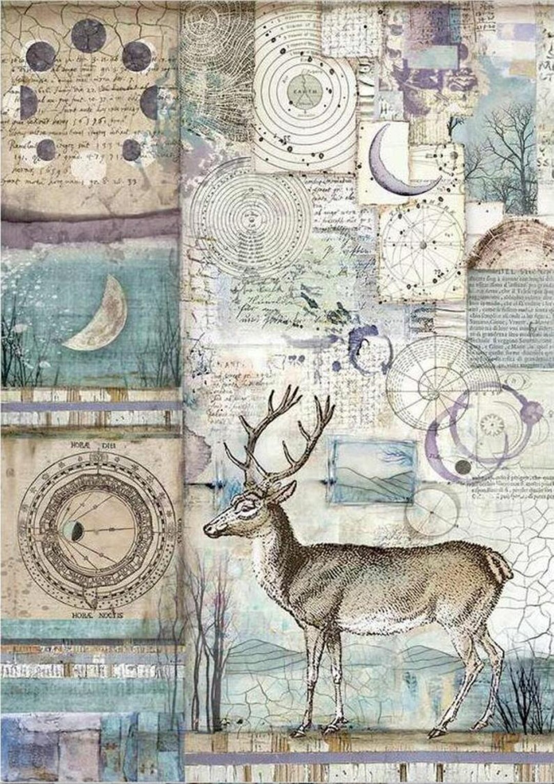 STAMPERIA Decoupage Rice Paper A4 COSMOS DEER - DFSA4390 - Etsy