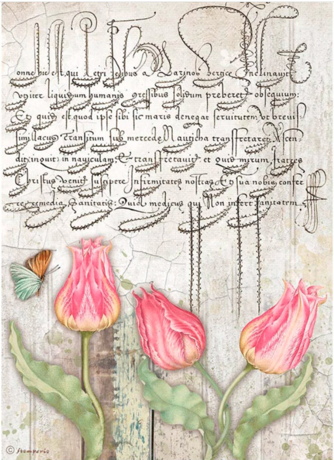 STAMPERIA Romantic Garden House TULIPS Rice Paper | Etsy