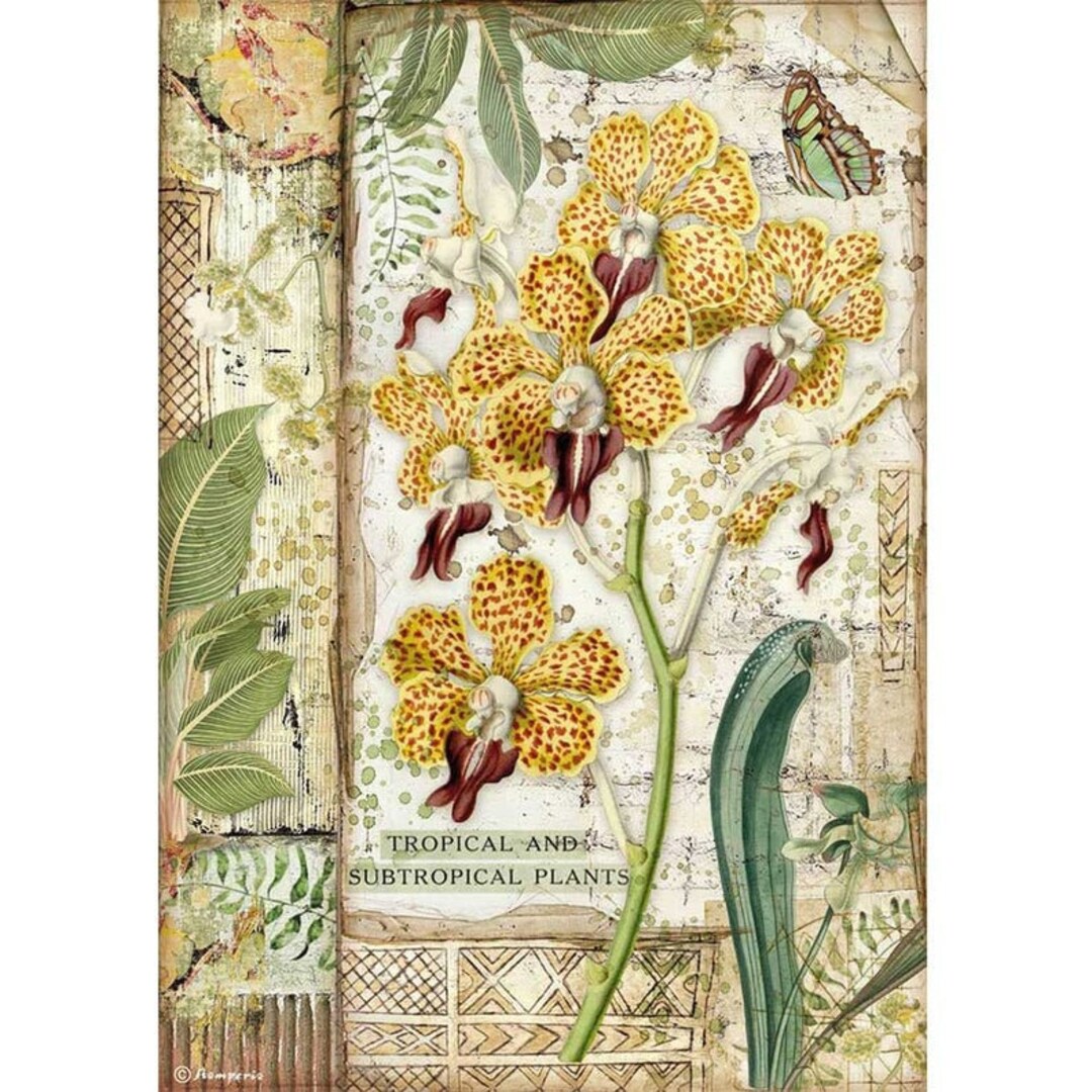 STAMPERIA - Amazonia - ORCHID - Rice Paper A4 Decoupage Scrapbooking ...