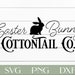 Happy Spring Floral Bunny Cut Files, for Cricut or Silhouette, Happy ...