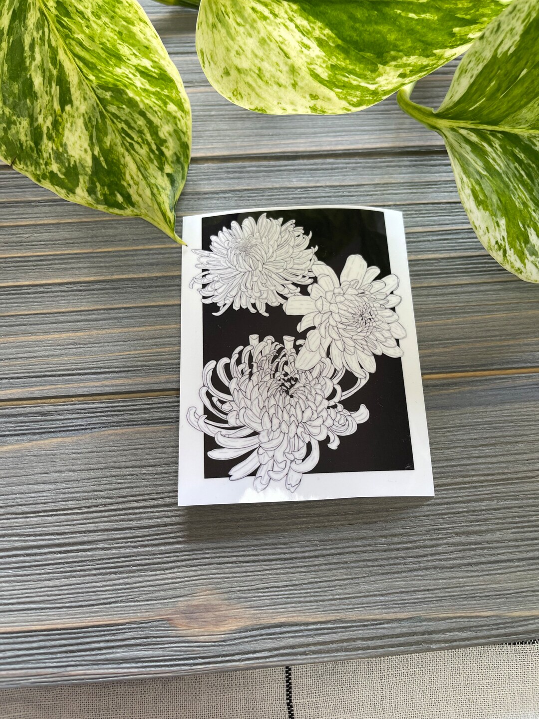 STICKER: Chrysanthemum Sticker, Floral Sticker, Flower Art Sticker ...