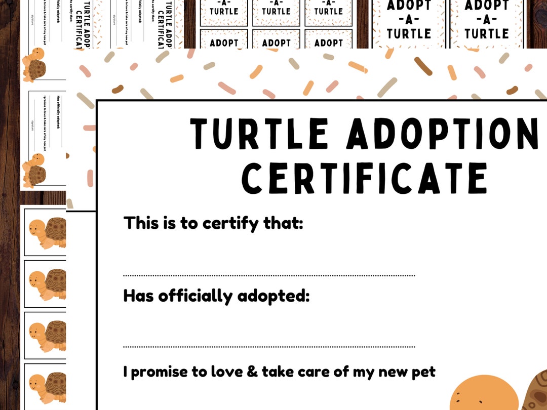 Adopt-a-turtle Printable Kit Turtle Easter Adoption Certificate for ...