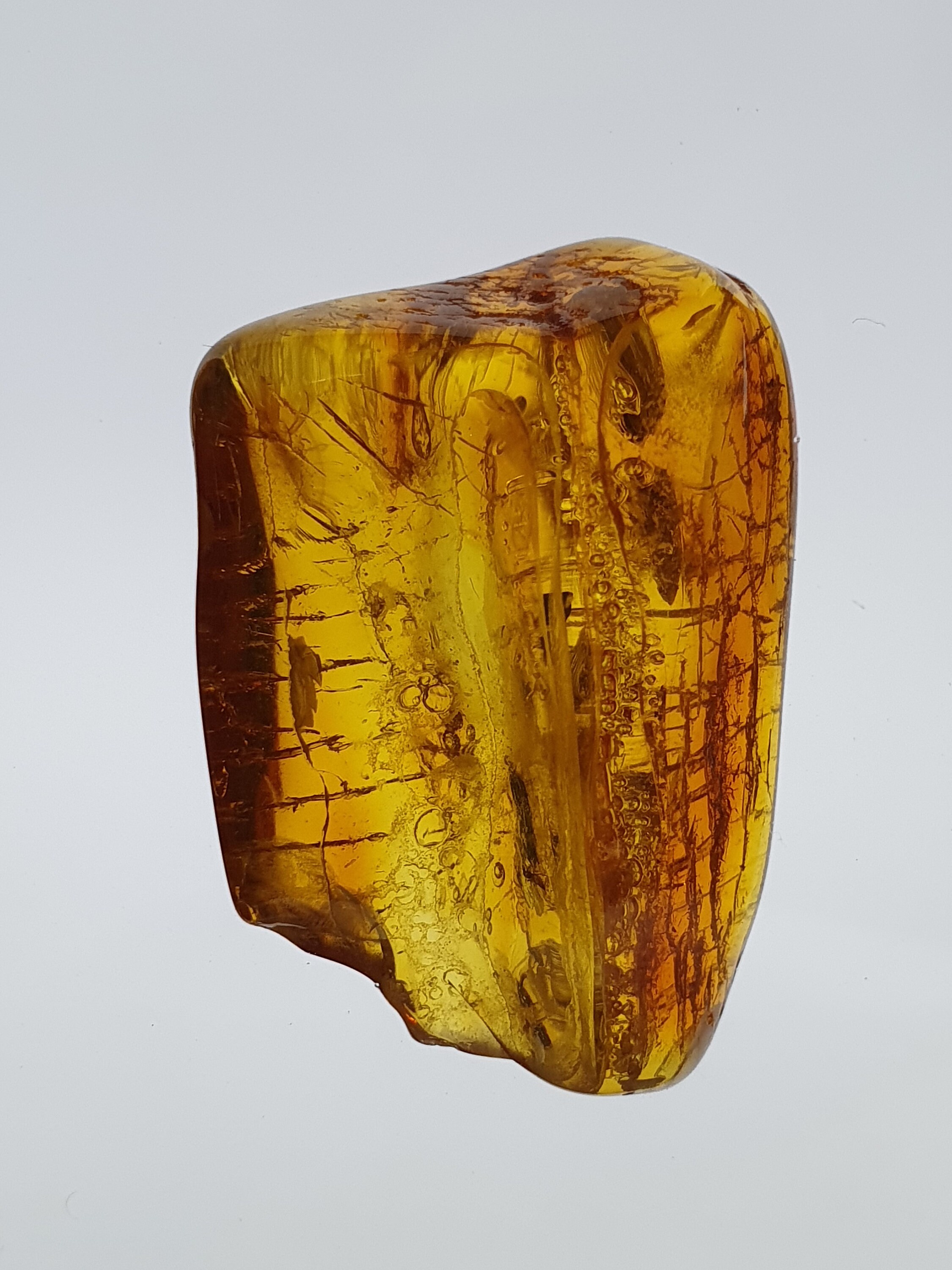 Insekt in Bernstein Einschluss Fossil Baltischer Bernstein | Etsy