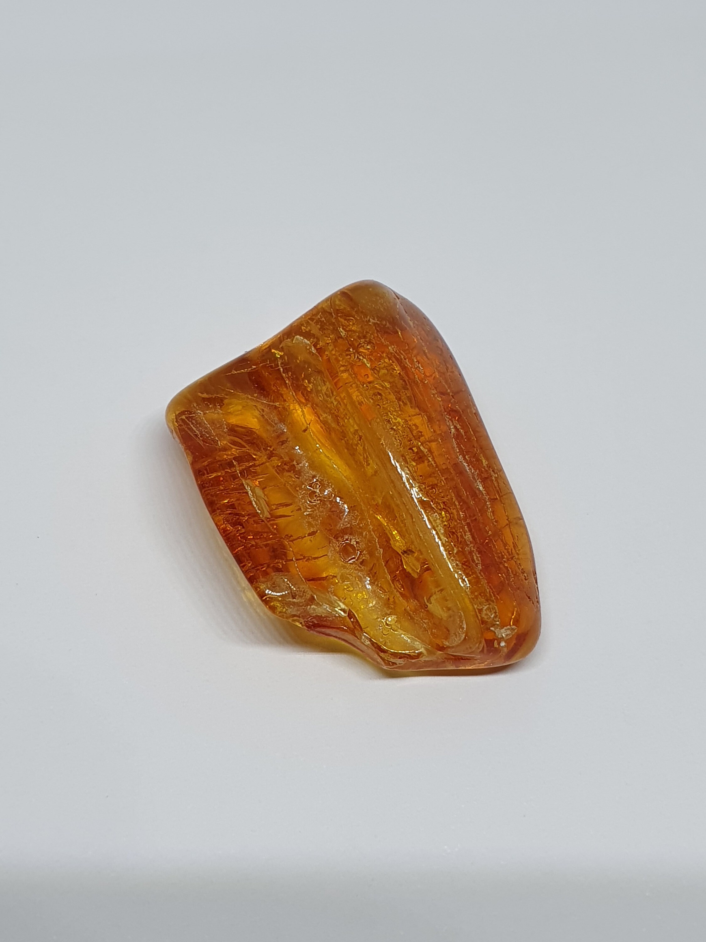 Insekt in Bernstein Einschluss Fossil Baltischer Bernstein | Etsy