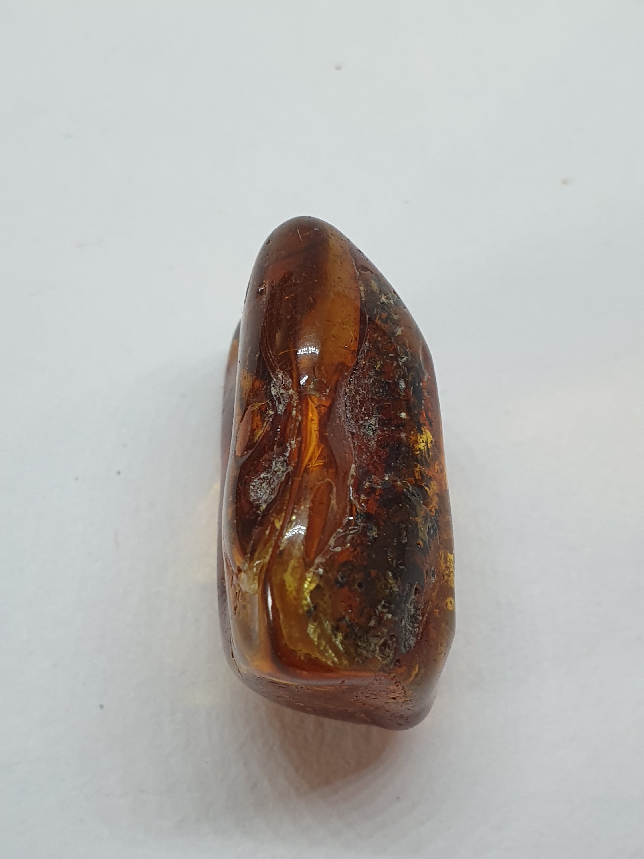 12 grams Insect in amber inclusion fossil Baltic amber | Etsy