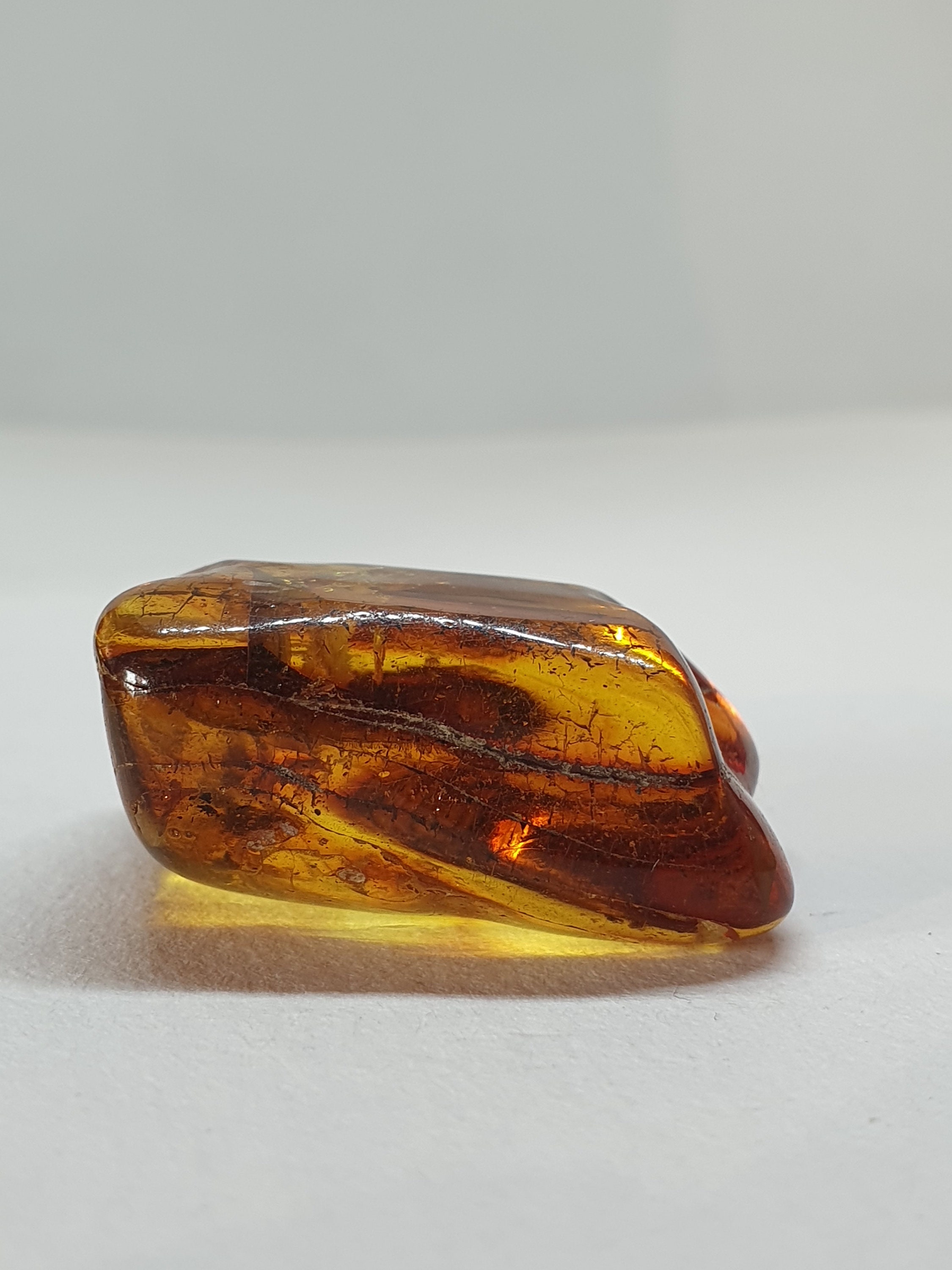 12 grams Insect in amber inclusion fossil Baltic amber | Etsy