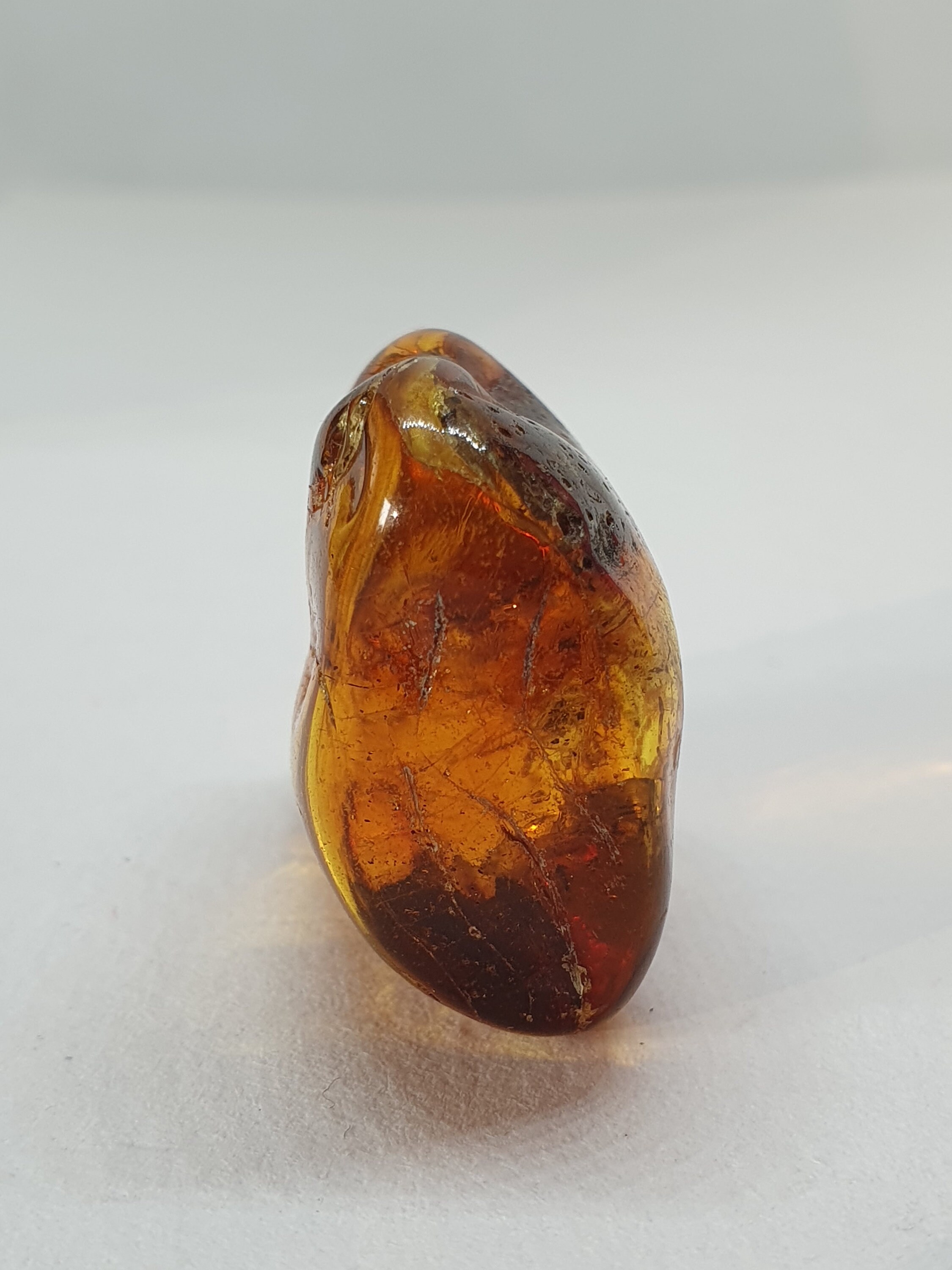 12 grams Insect in amber inclusion fossil Baltic amber | Etsy