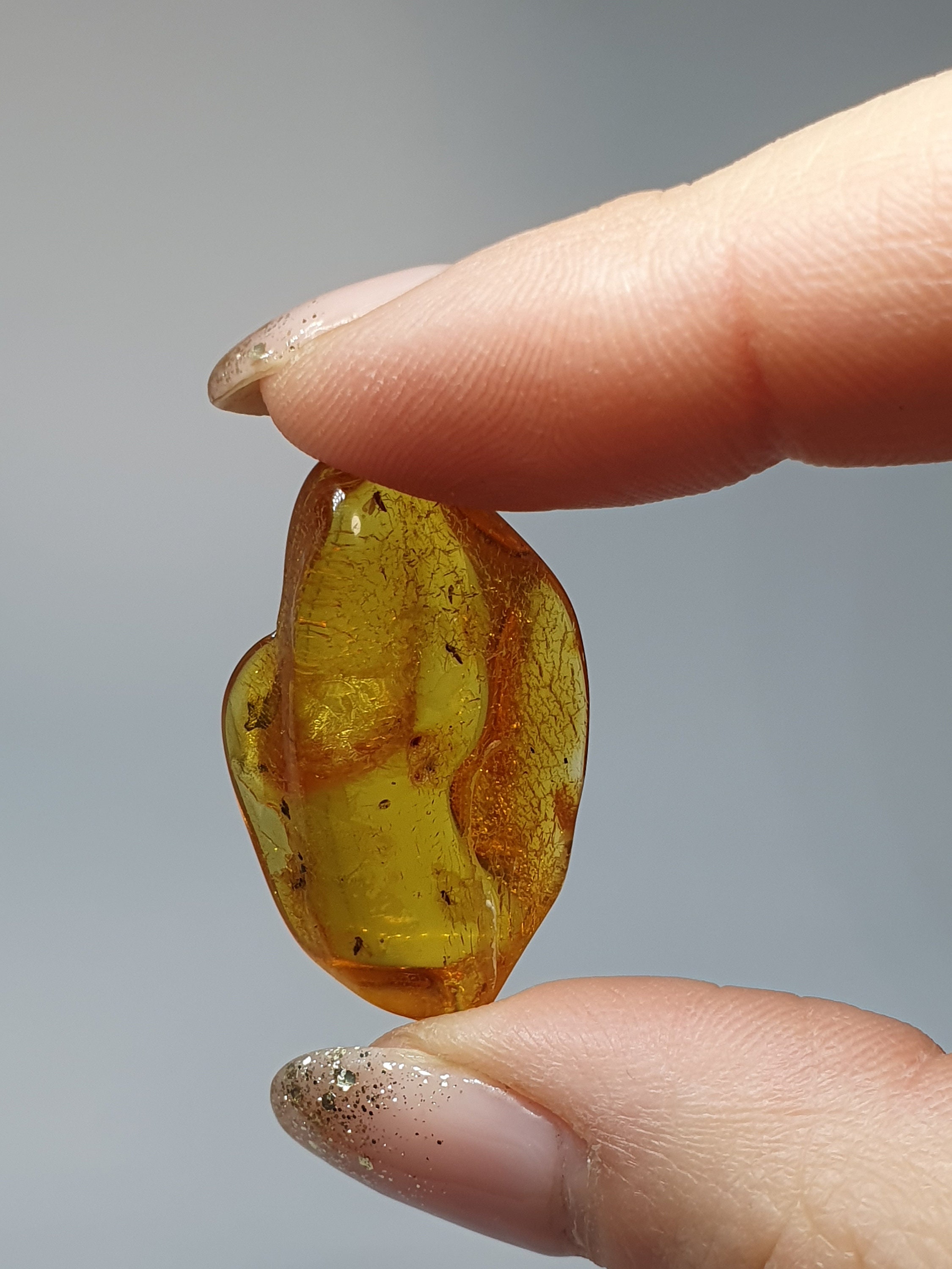 3 insectos atrapados en ámbar / ámbar báltico / inclusión | Etsy