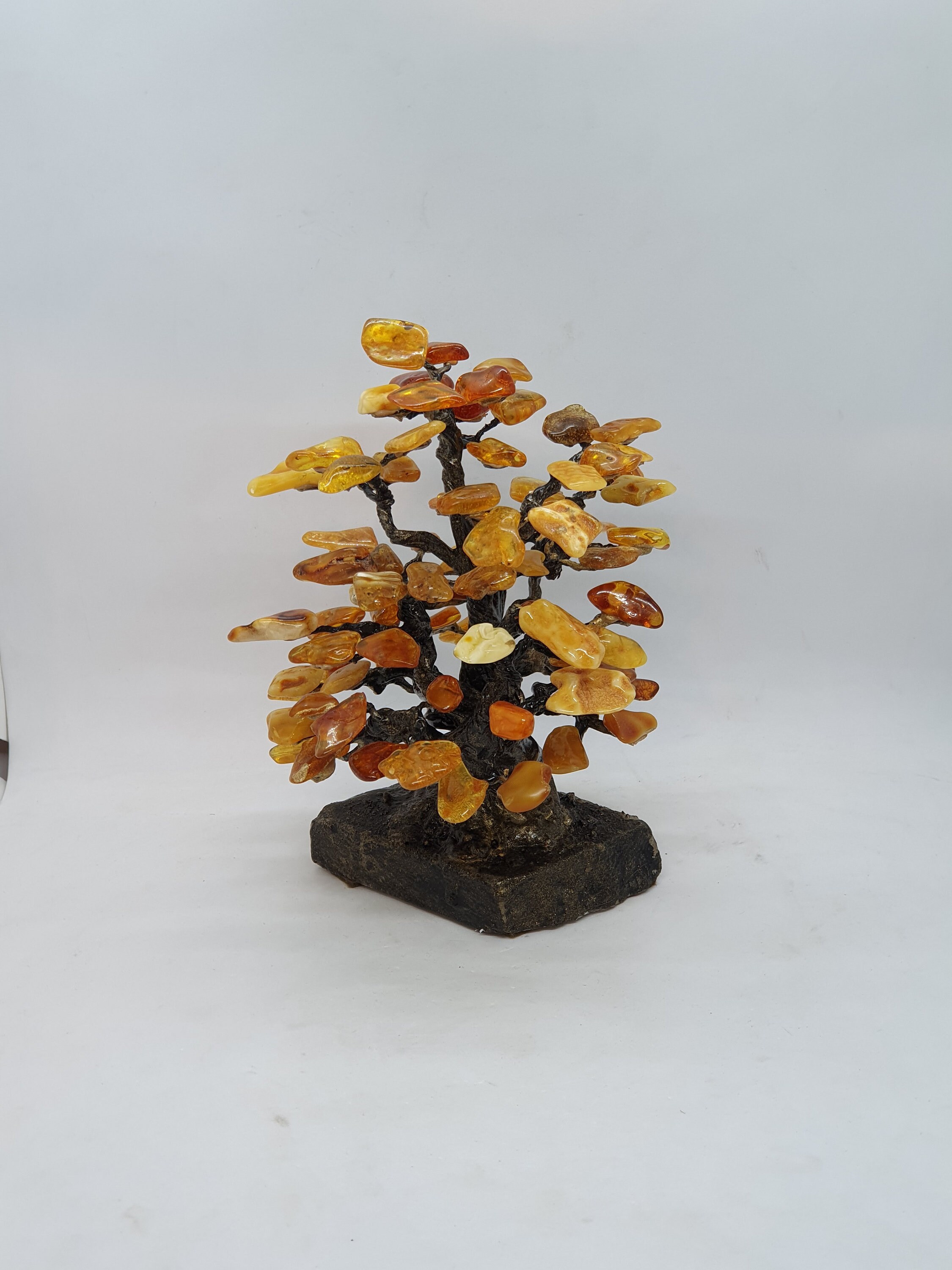 Natural Baltic Amber Tree Oak on Marble 20cm Beautiful | Etsy