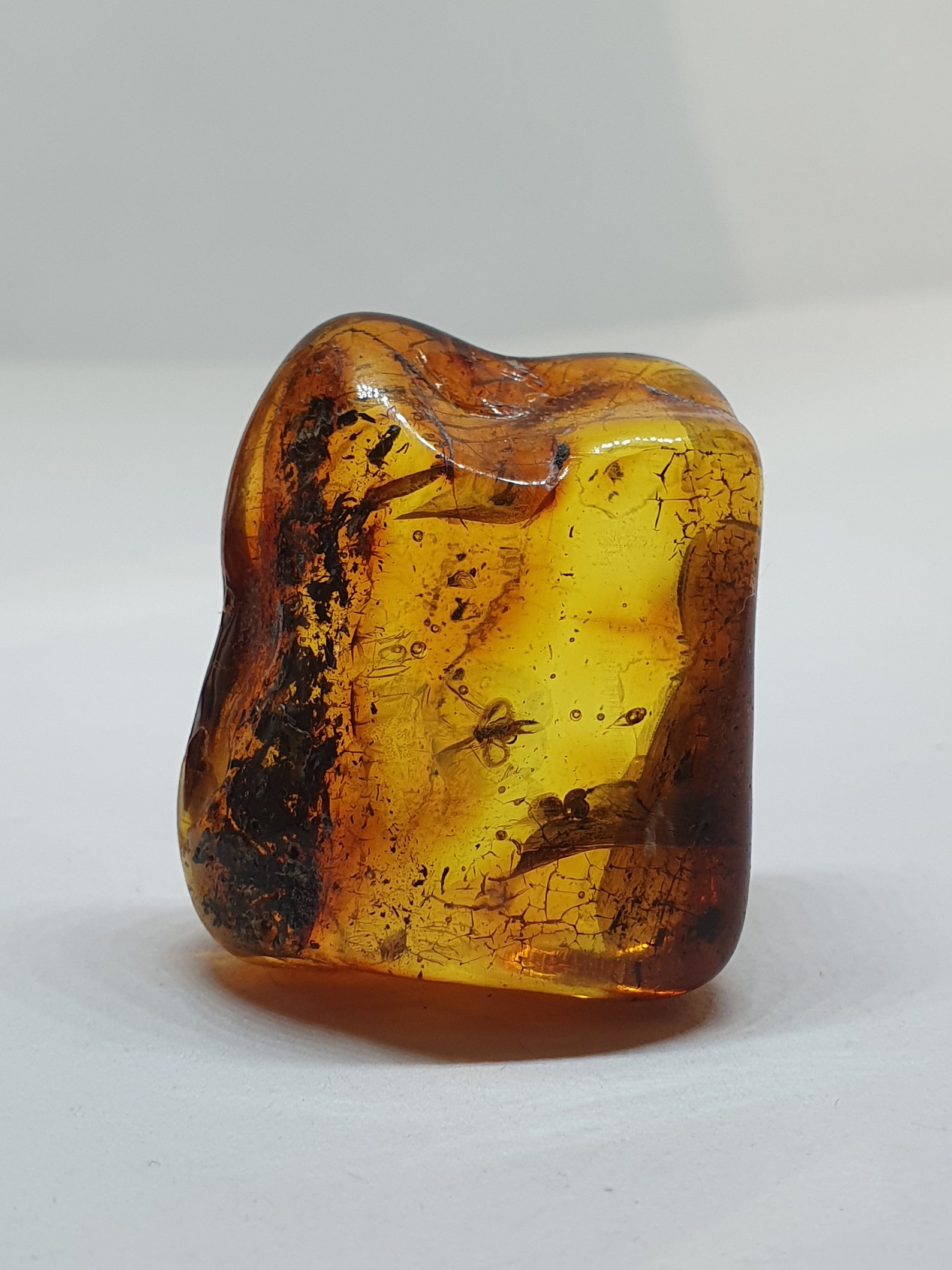 12 grams Insect in amber inclusion fossil Baltic amber | Etsy