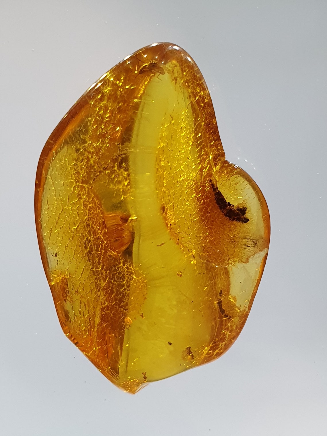 3 insectos atrapados en ámbar / ámbar báltico / inclusión - Etsy España