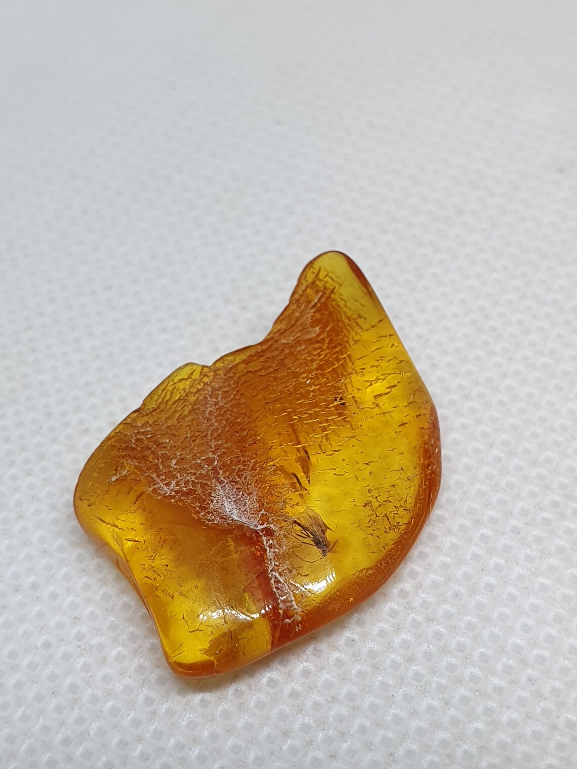 Insect fossil in amber Inclusion fossil Baltic amber | Etsy