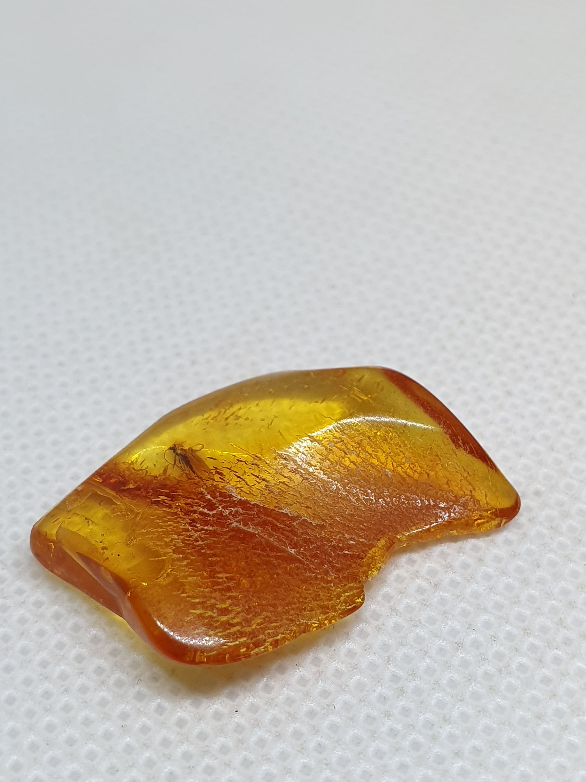 Insect fossil in amber Inclusion fossil Baltic amber | Etsy