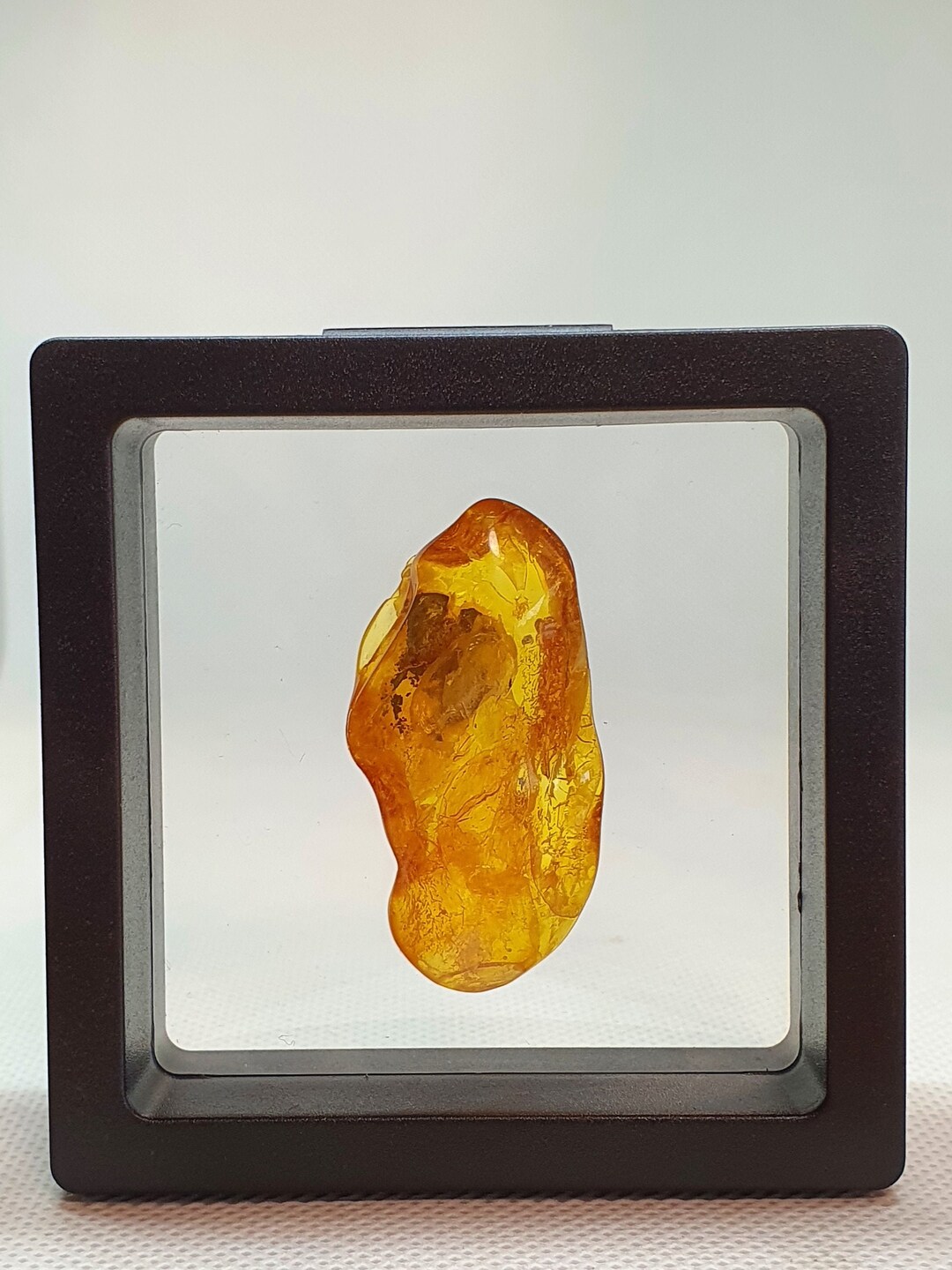 Small Insect in Amber 4 Grams Amber Inclusion Amber - Etsy