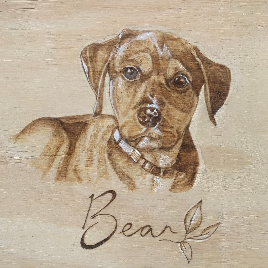 Custom Pet Portrait - Etsy