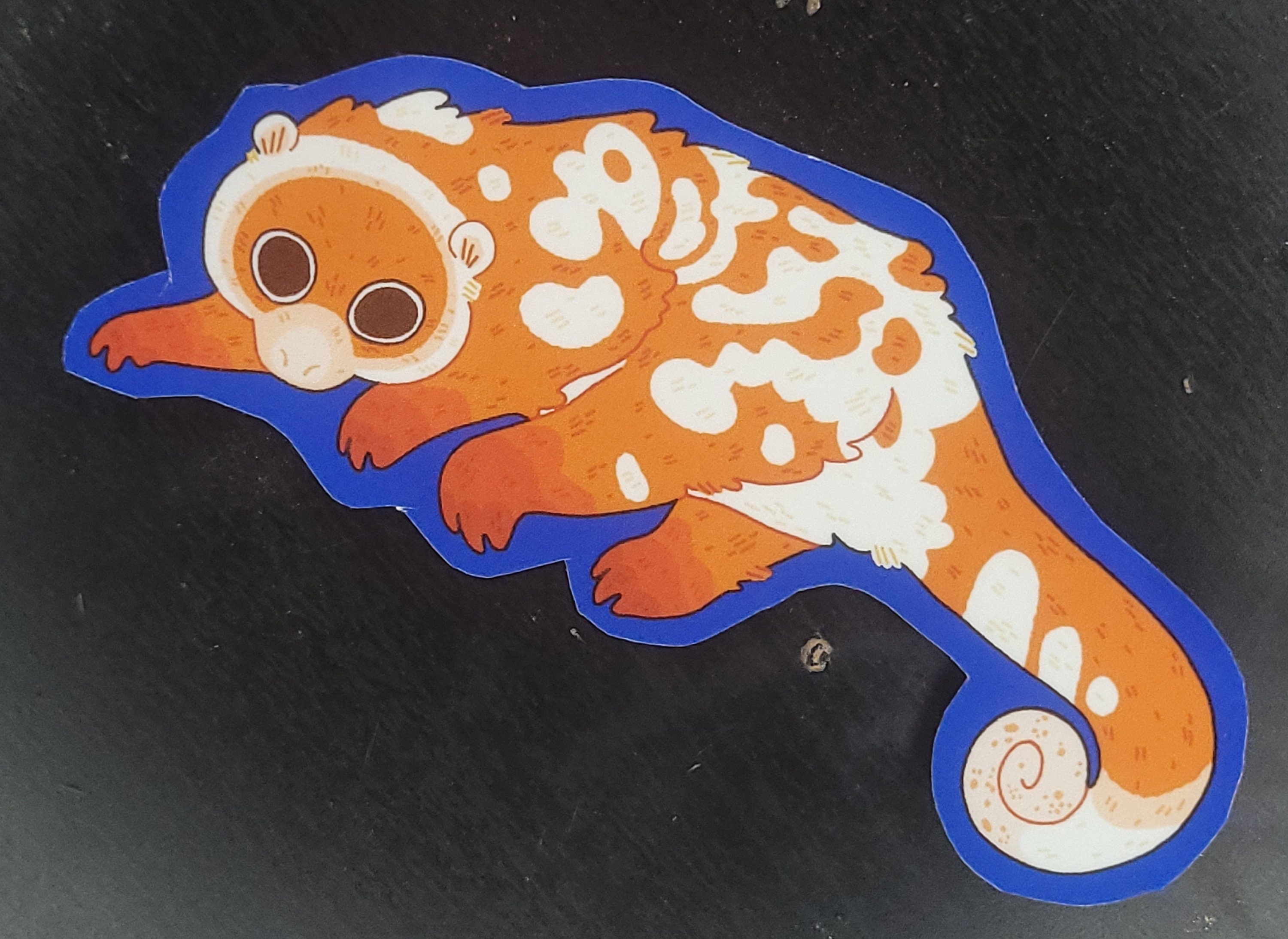 Common Spotted Cuscus spilocuscus Maculatus White Cuscus Marsupial ...