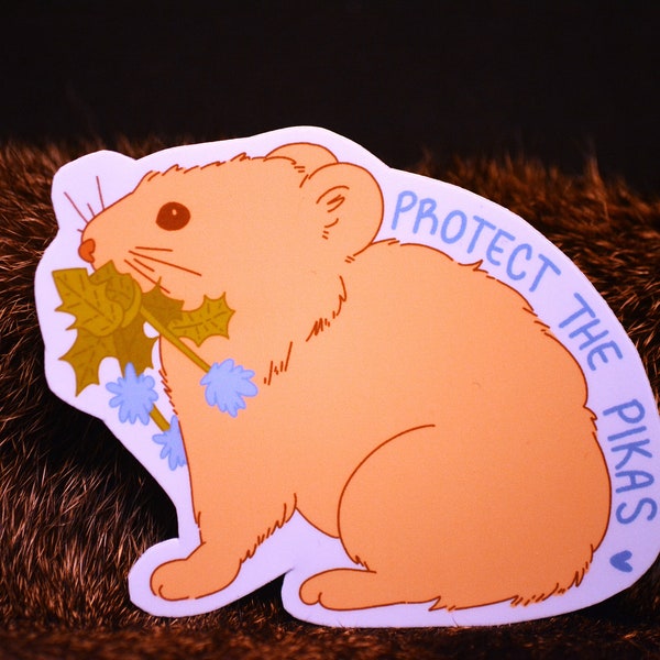Pika - Etsy