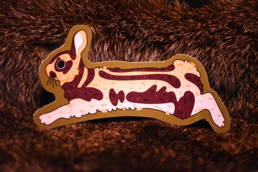 Sumatran Striped Rabbit (nesolagus Netscheri) Sticker Short-eared ...