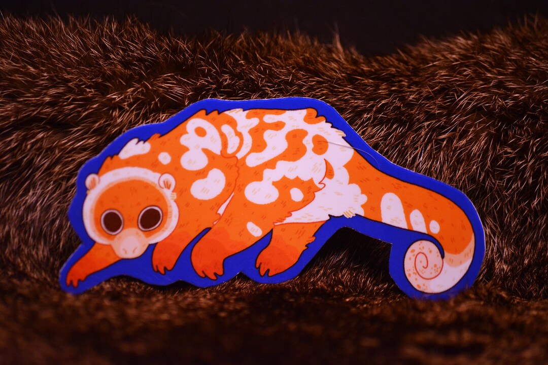 Common Spotted Cuscus spilocuscus Maculatus White Cuscus Marsupial ...