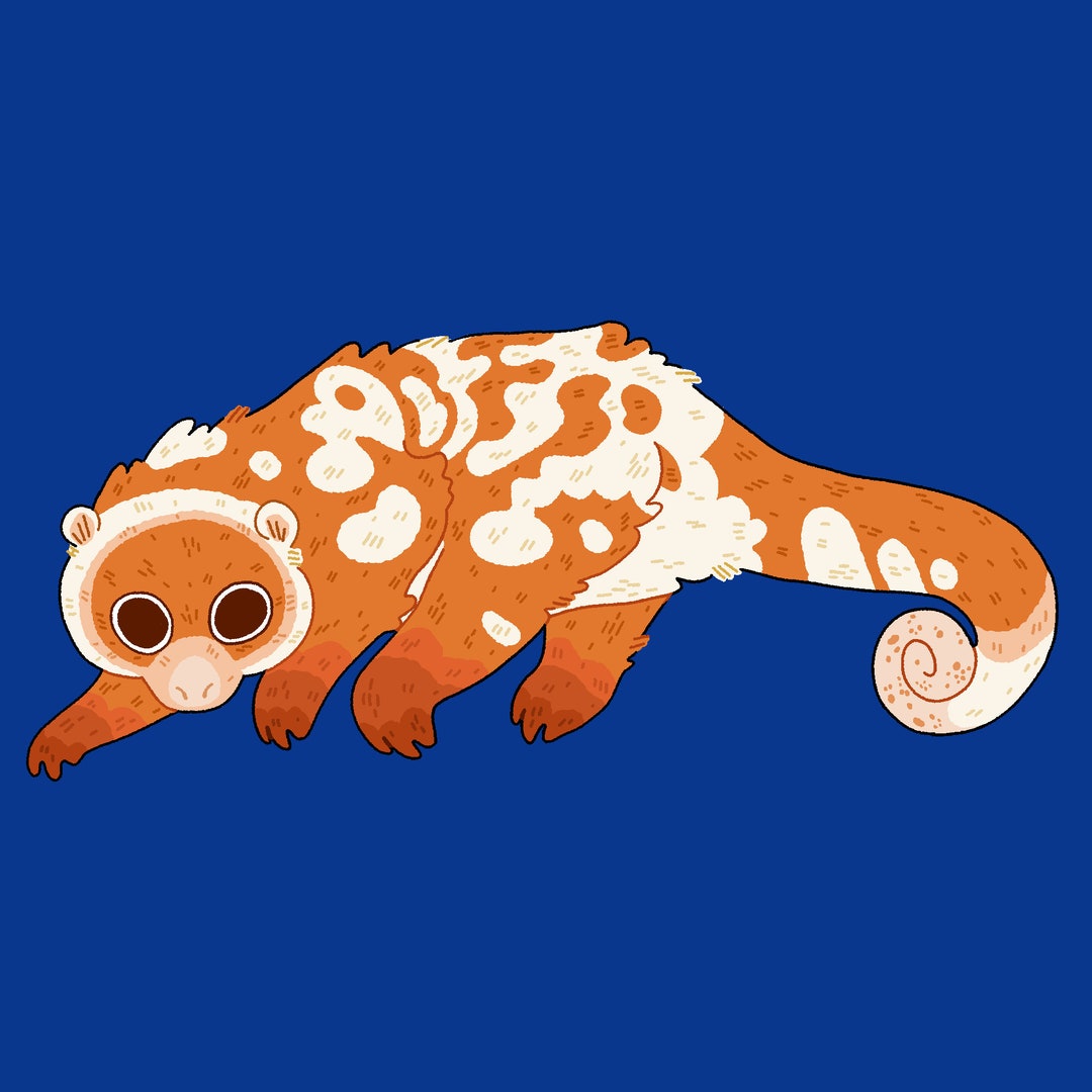 Common Spotted Cuscus spilocuscus Maculatus White Cuscus - Etsy