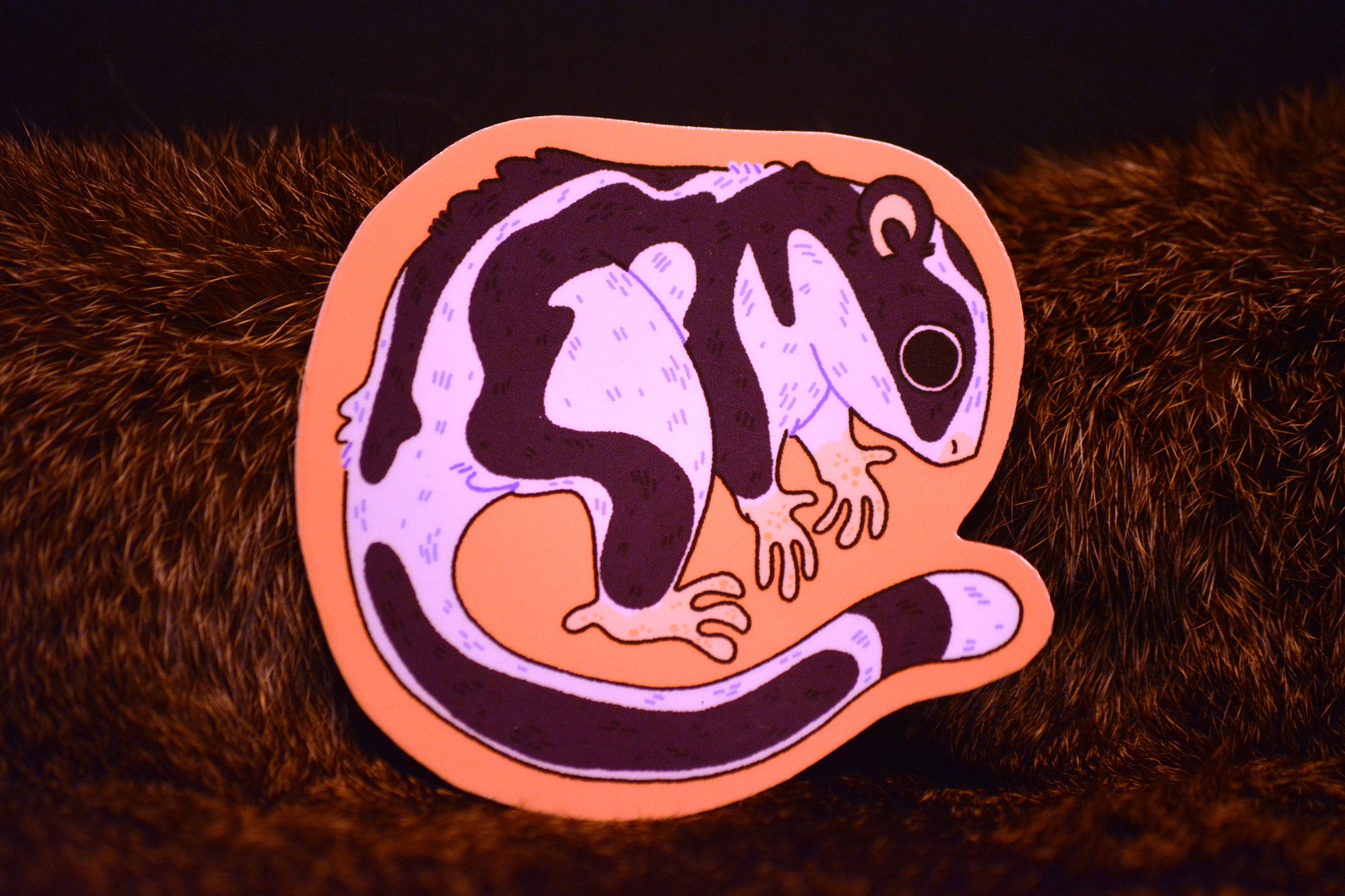 Common Striped Possum dactylopsila Trivirgata Sticker Marsupial Mammal ...