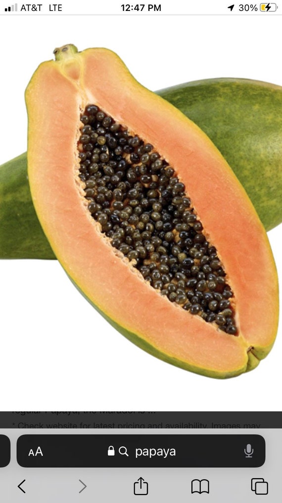 15 Papaya Tree Seeds | Etsy