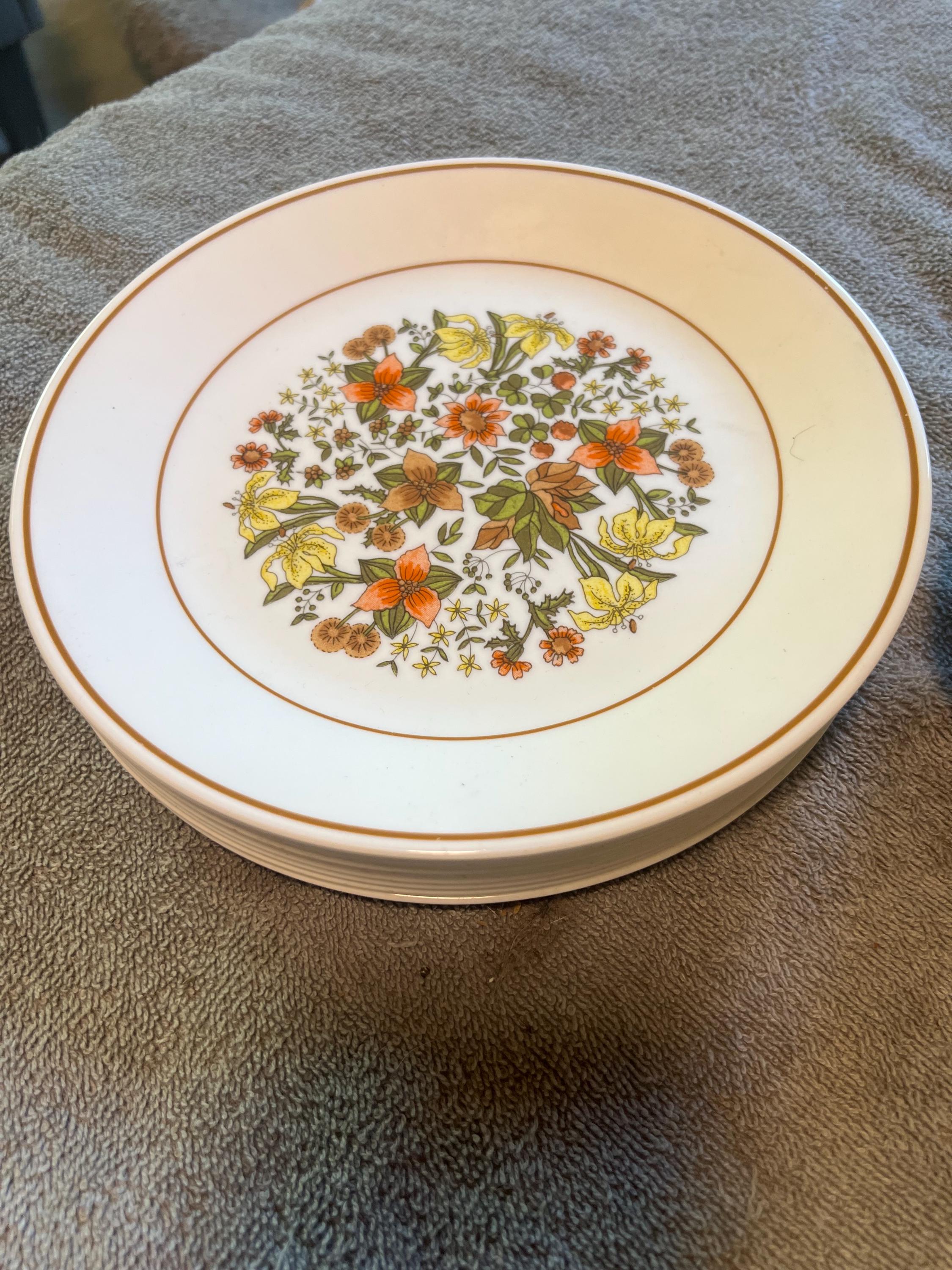 11 Pieces Total Set of 9 Corelle Indian Summer 8.5” Luncheon Plates ...