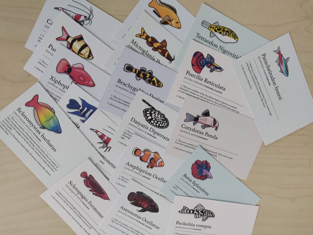 5, 10, 20 Pack Fish Postcard Pack Dictionary Art, Tropical Fish, Fish ...