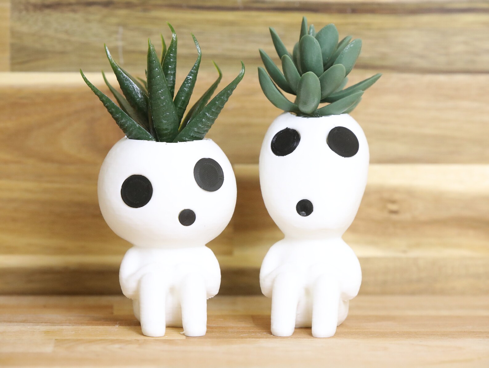 Kodama Spirit Cute Planter for Succulents Air Plant Holder Tree ...